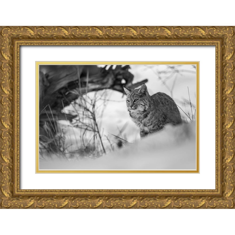 The Yellowstone Collection 32x23 Gold Ornate Wood Framed with Double ...