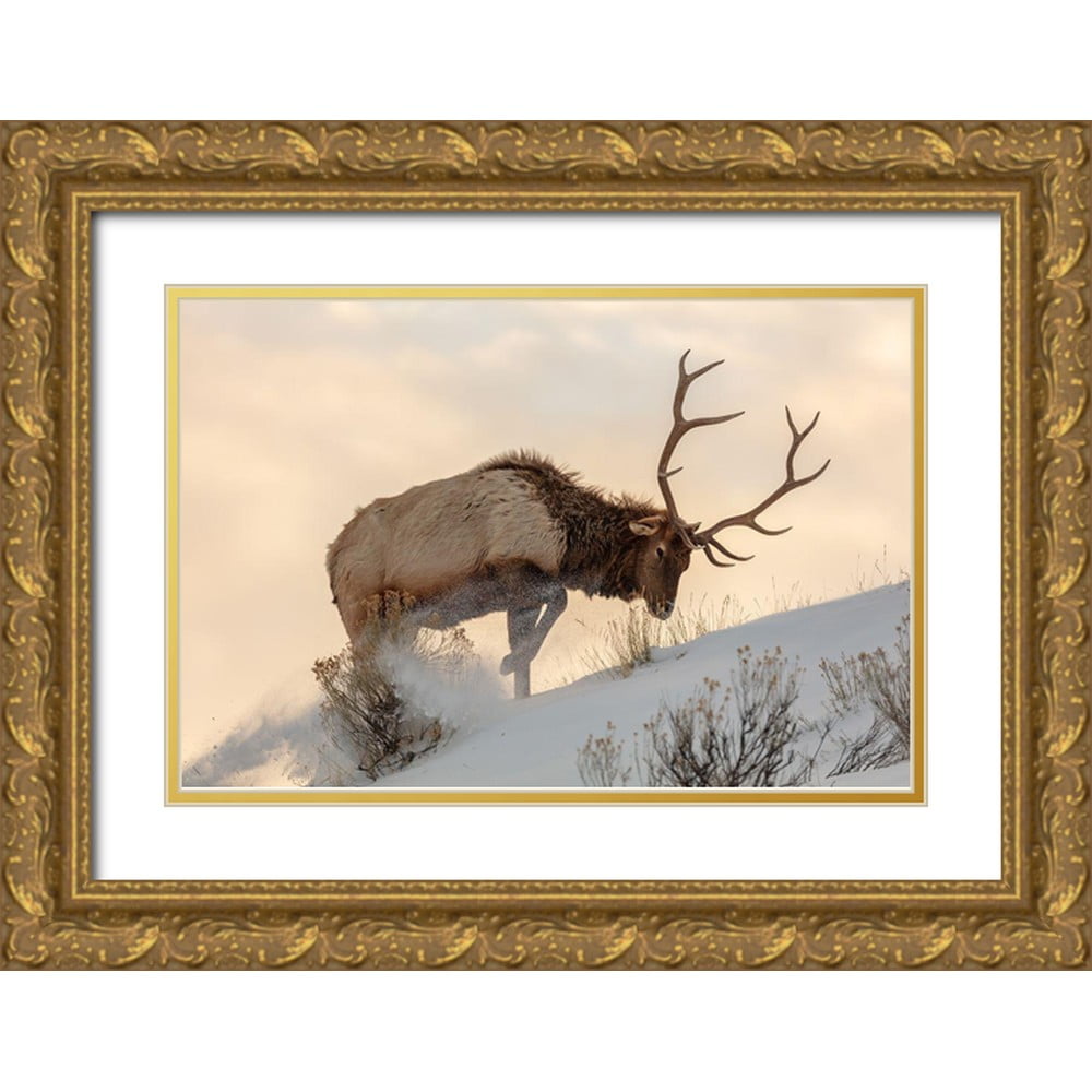 The Yellowstone Collection 32x23 Gold Ornate Wood Framed with Double ...