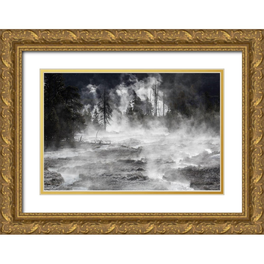 The Yellowstone Collection 32x23 Gold Ornate Wood Framed with Double ...