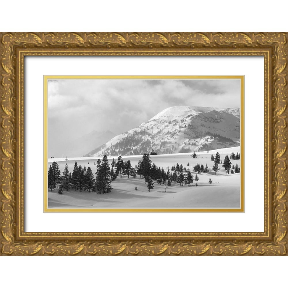 The Yellowstone Collection 32x23 Gold Ornate Wood Framed with Double ...