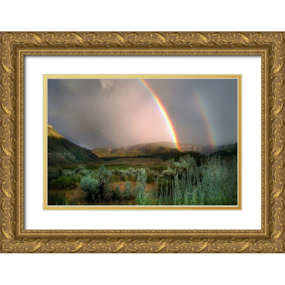 The Yellowstone Collection 32x23 Gold Ornate Wood Framed with Double ...