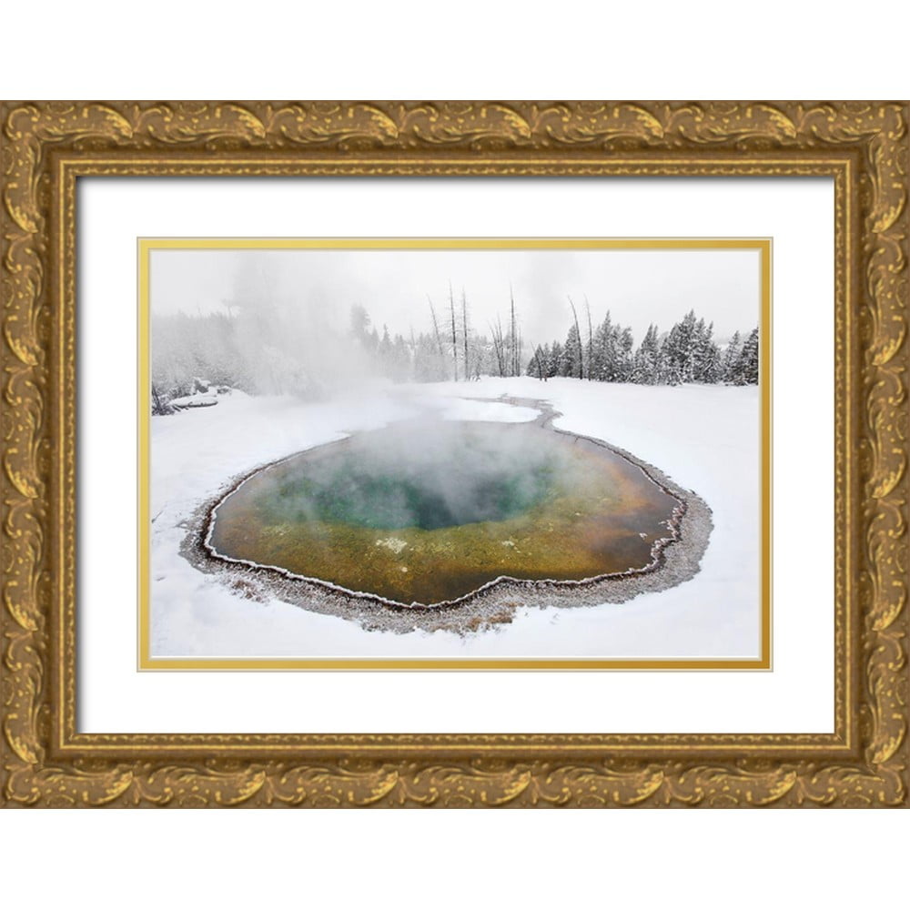 The Yellowstone Collection 32x23 Gold Ornate Wood Framed with Double ...