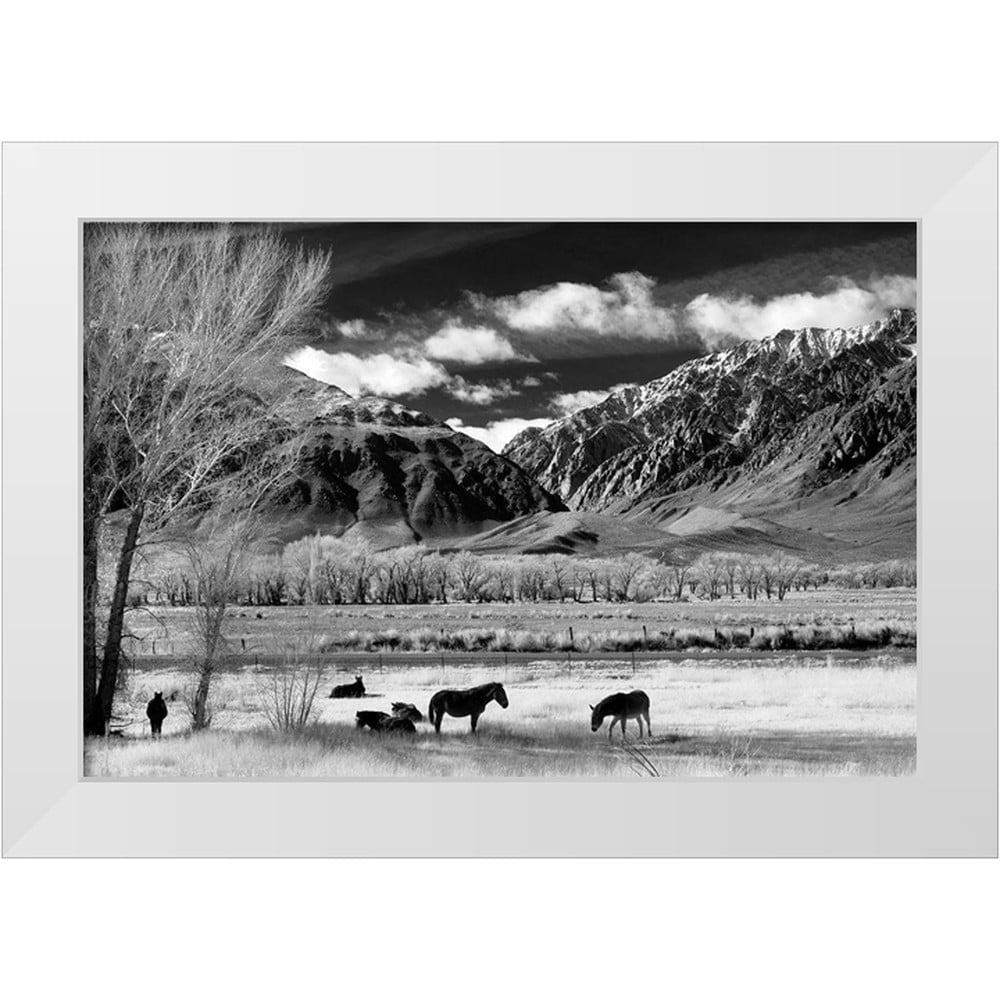 The Yellowstone Collection 32x23 White Modern Wood Framed Museum Art ...