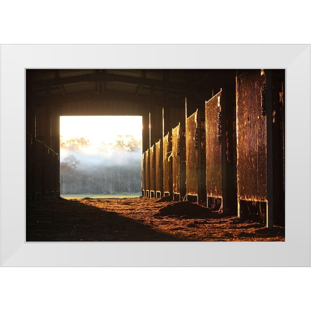 The Yellowstone Collection 32x23 White Modern Wood Framed Museum Art ...