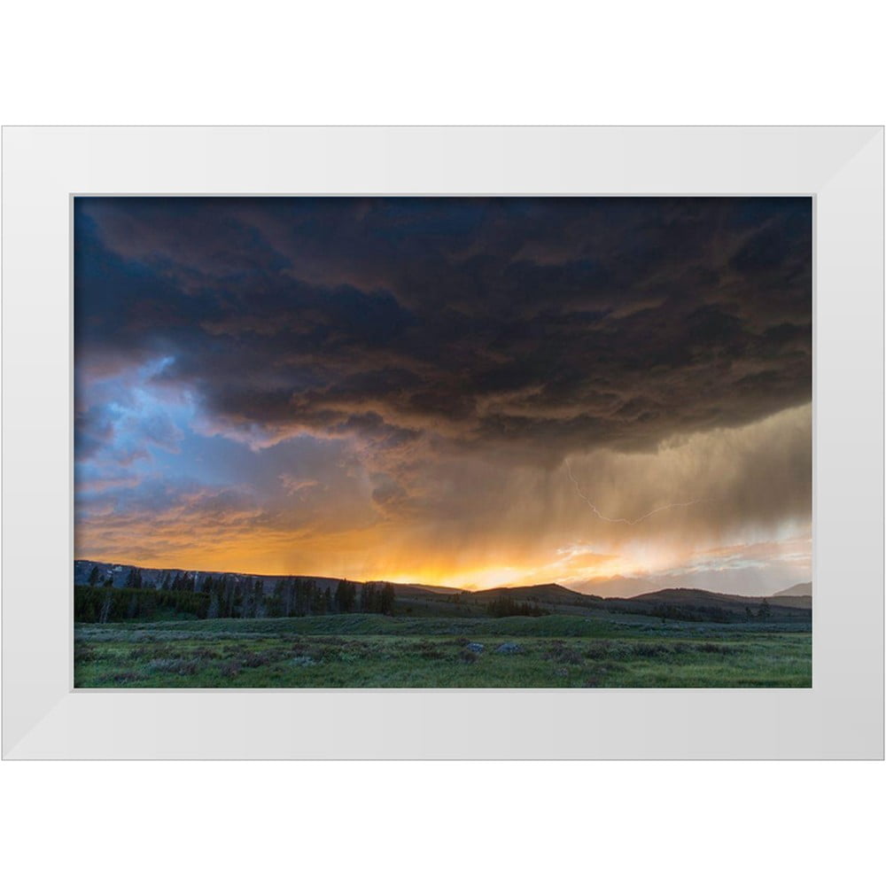The Yellowstone Collection 32x23 White Modern Wood Framed Museum Art ...