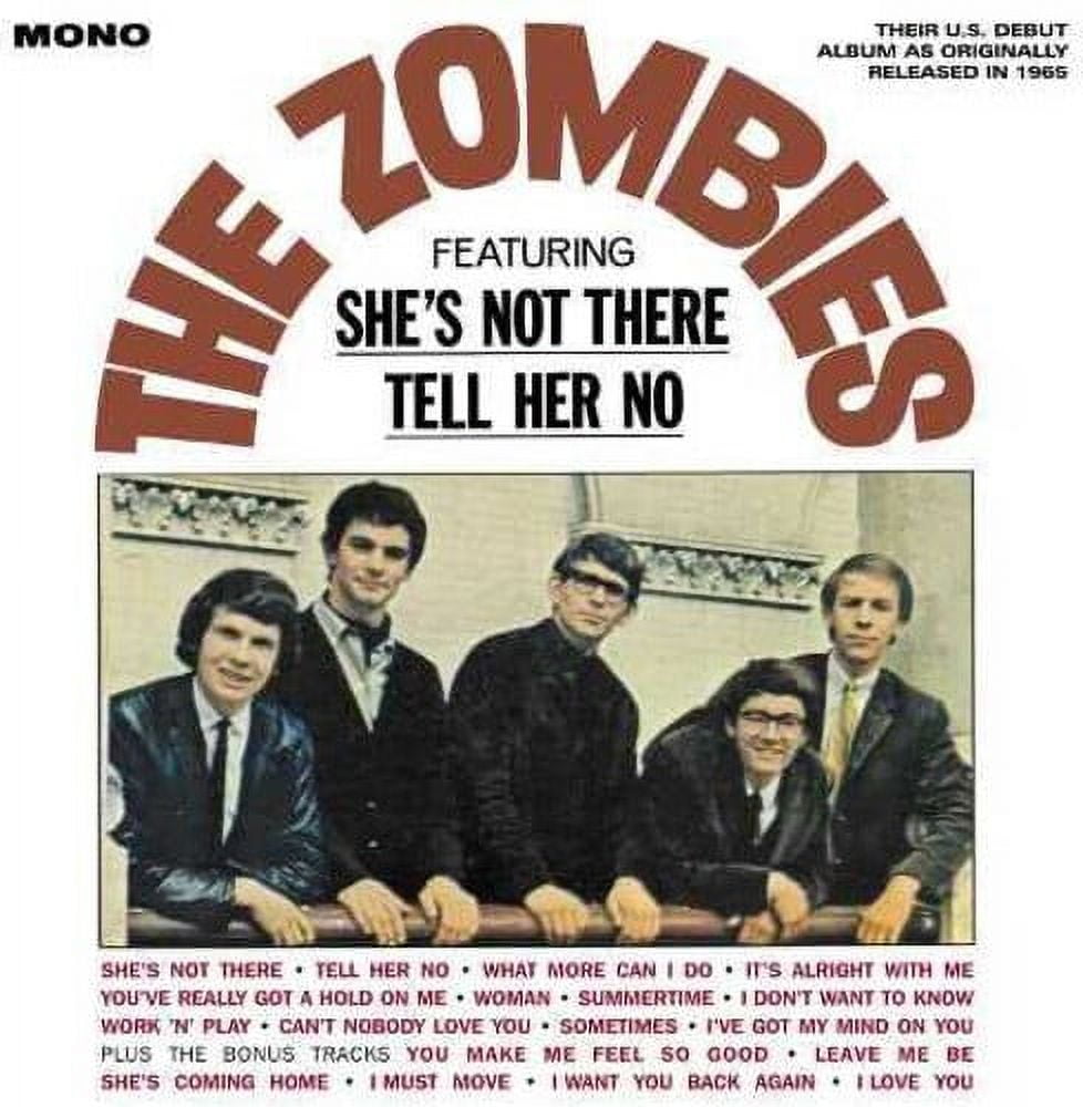 The Zombies - Vinyl - Walmart.com