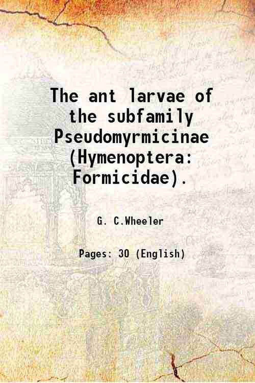 The ant larvae of the subfamily Pseudomyrmicinae (Hymenoptera ...
