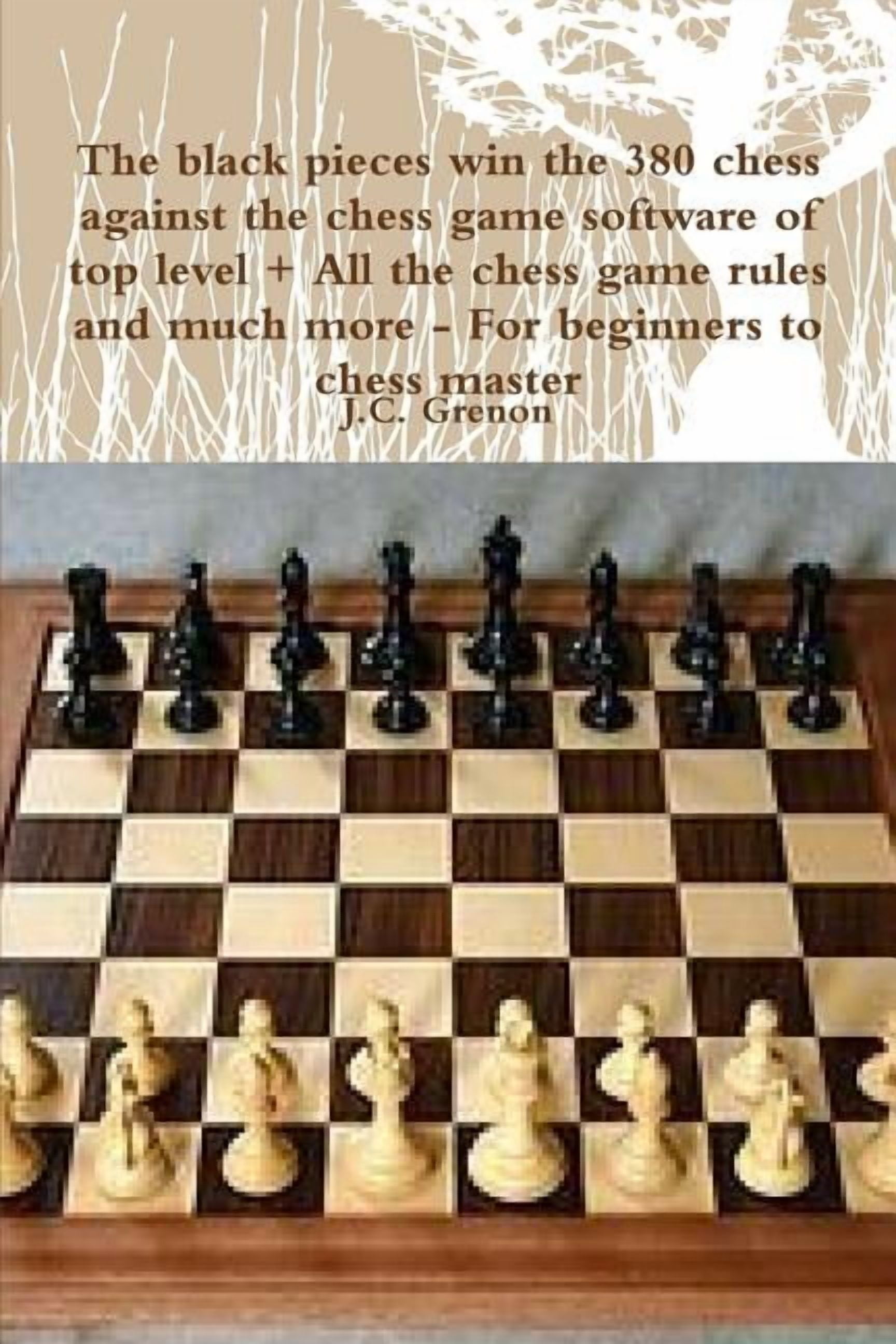 The black pieces win the 380 chess against the high chess software ...