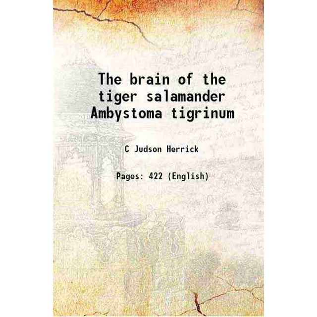 The brain of the tiger salamander Ambystoma tigrinum 1948 [Hardcover ...