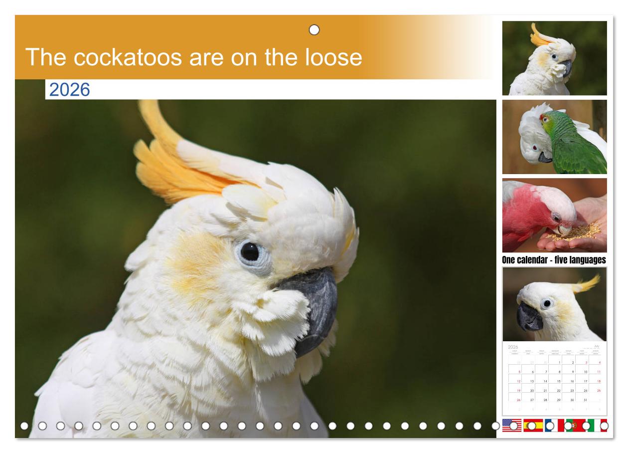 The cockatoos are on the loose (Monthly Wall Calendar 2026 11.7 x 16.5 ...