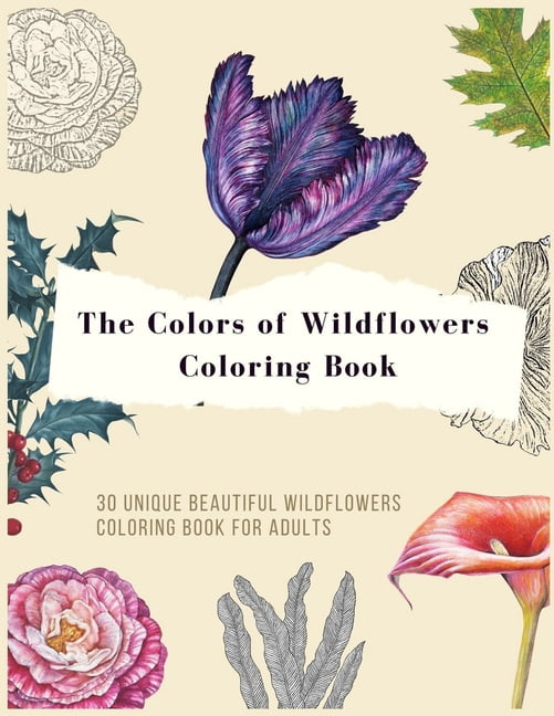 The colors of wildflowers coloring book (Paperback) - Walmart.com