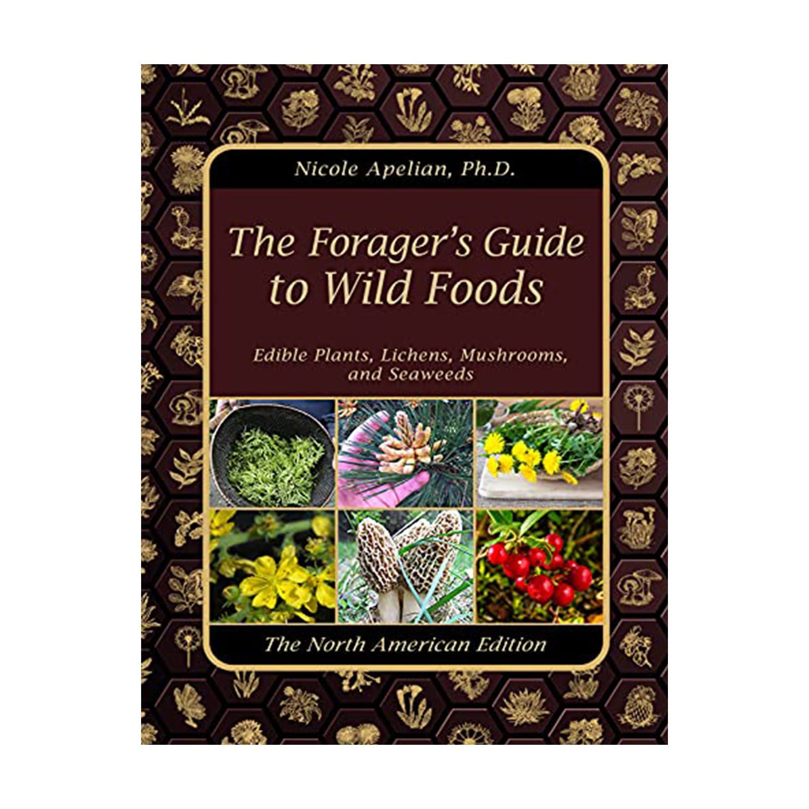 The foragers Guide To Wild Foods:Edible Plants, Lichens, Mushrooms,and ...
