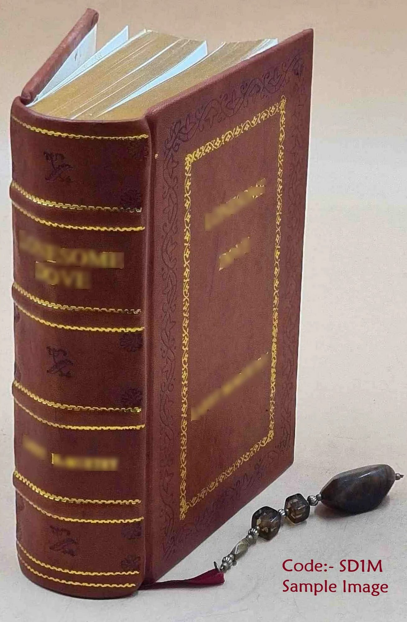 The fundamental principles of Old and New world civilizations: a ...