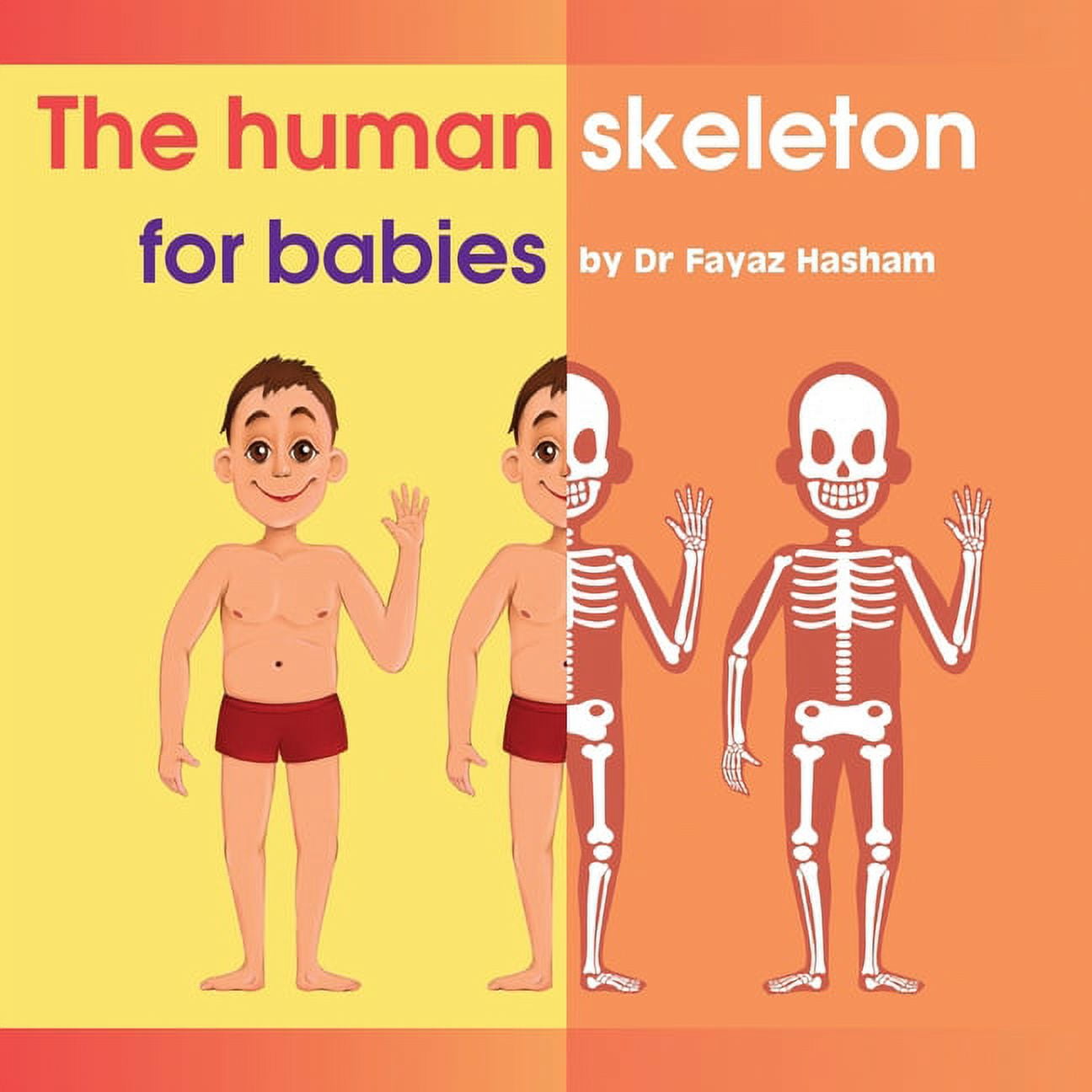 The human skeleton for babies (Paperback) - Walmart.com