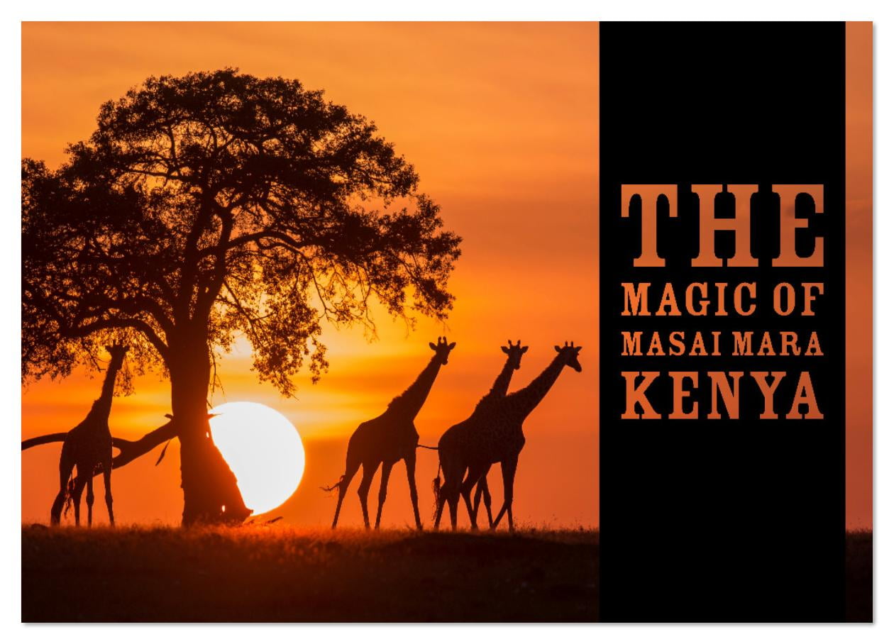 The magic of Masai Mara Kenya (Monthly Wall Calendar 2026 11.7 x 16.5 ...