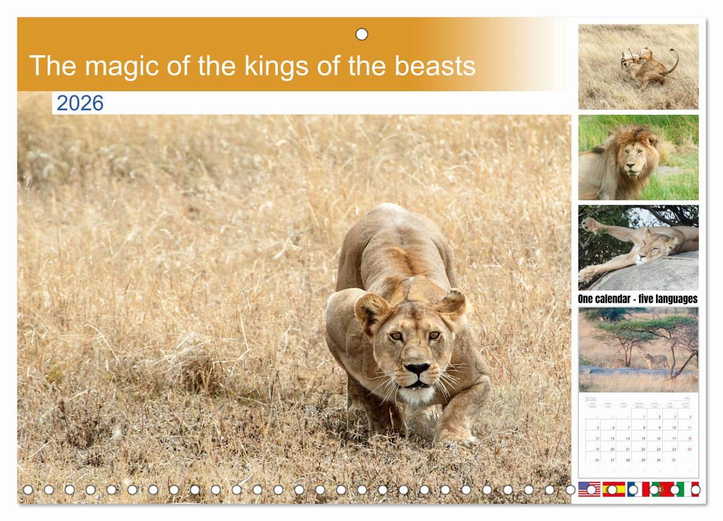 The magic of the kings of the beasts (Monthly Wall Calendar 2026 11.7 x ...