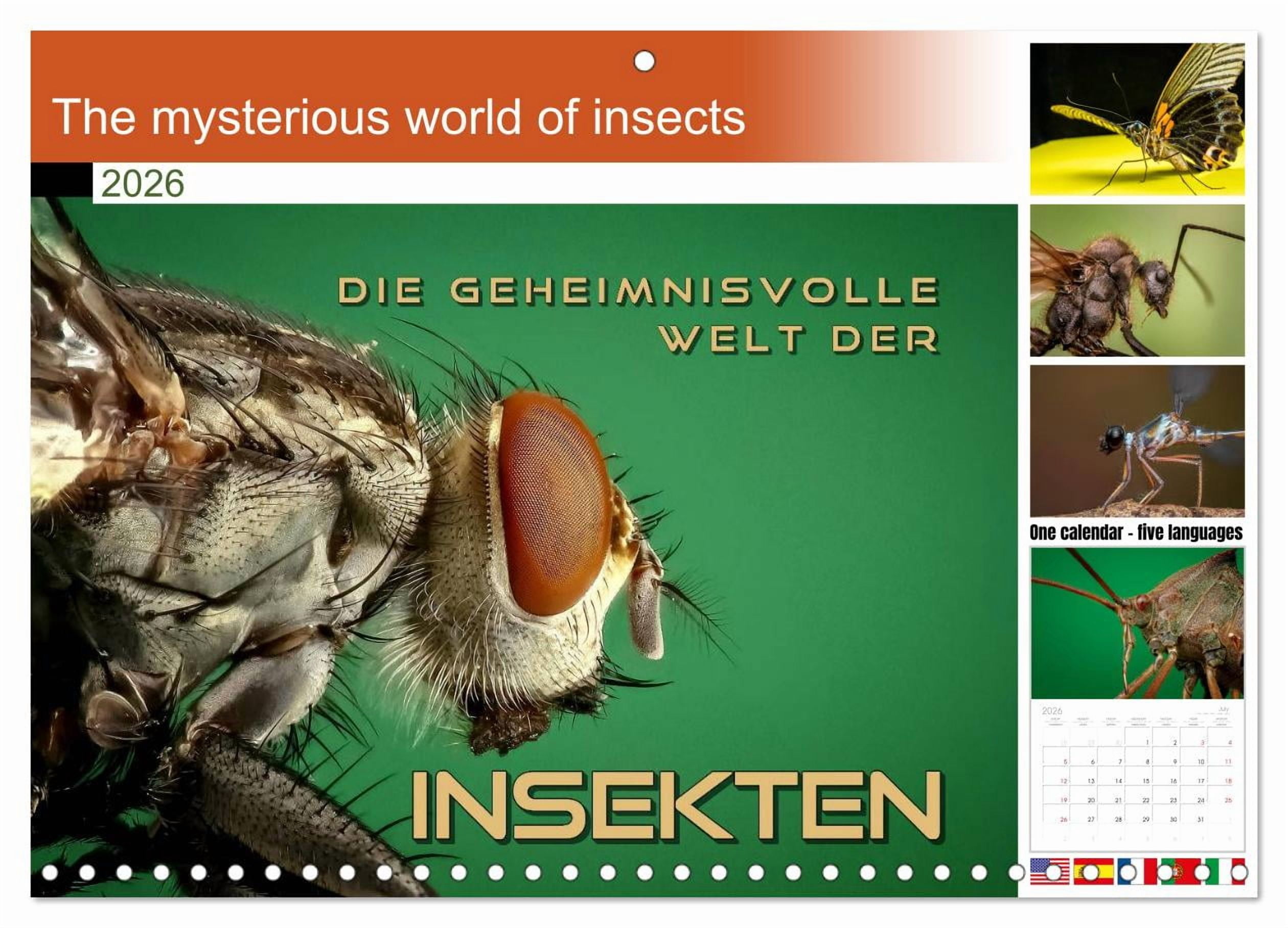 The mysterious world of insects (Monthly Wall Calendar 2026 16.5 x 23.4 ...