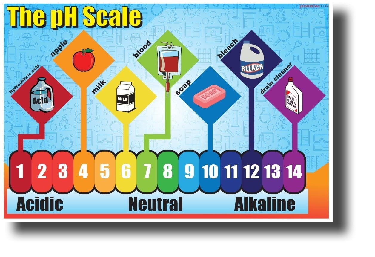 The pH Scale - NEW Classroom Science Poster - Walmart.com