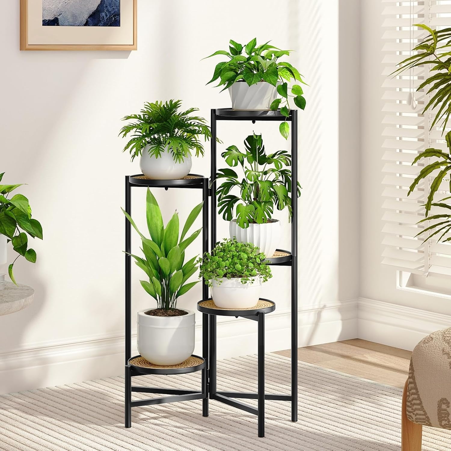 The purchased product, the vine plant station, the round plant table ...