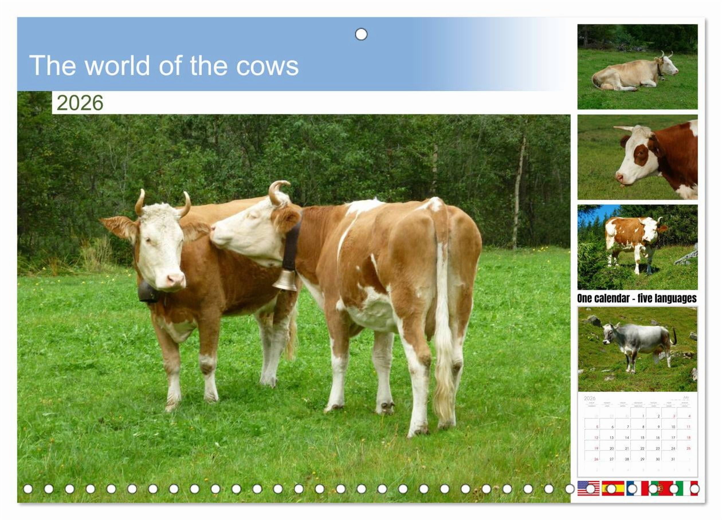 The world of the cows (Monthly Wall Calendar 2026 16.5 x 23.4 (open ...