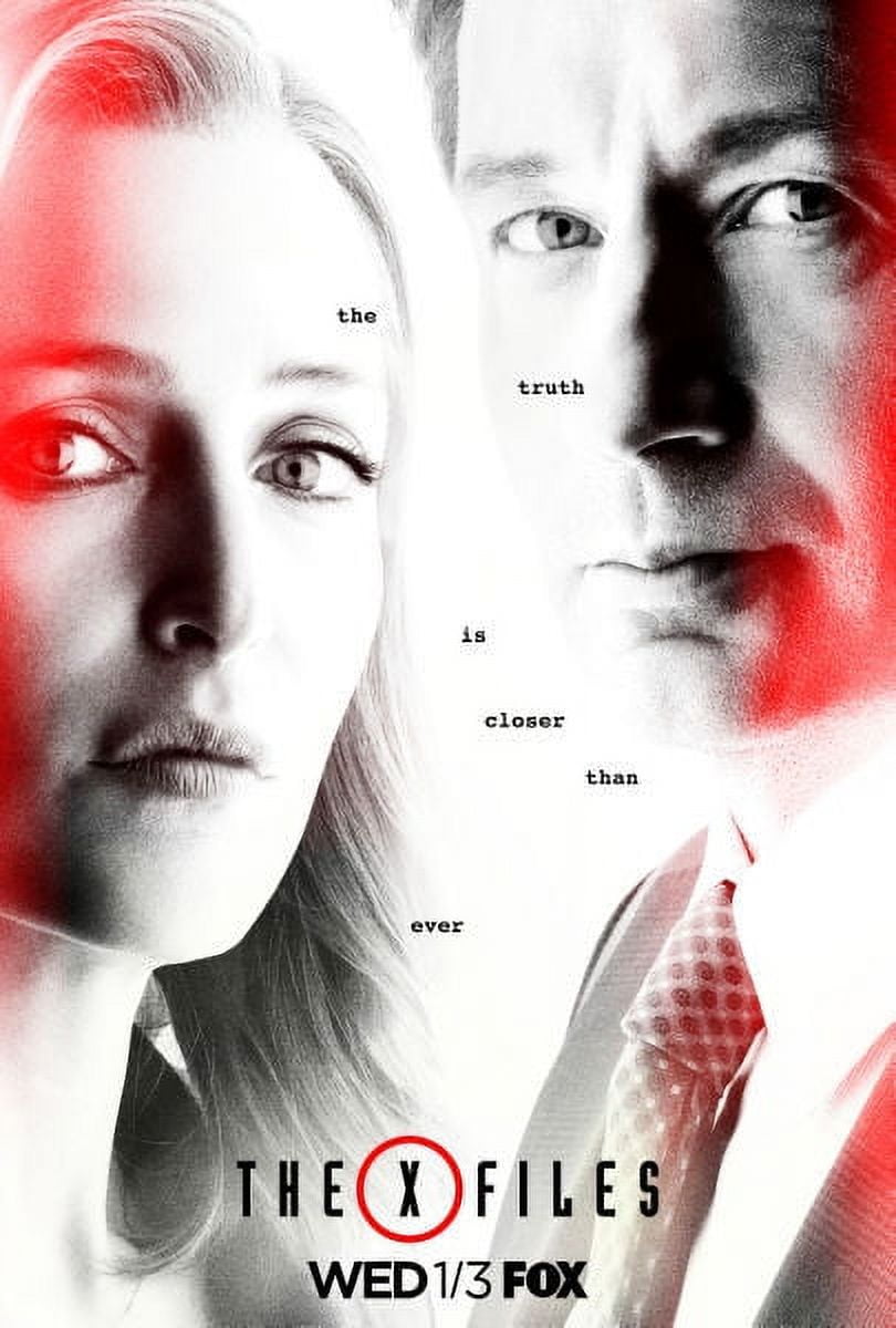 The x Files Poster 24In x 36In Art Poster 24x36 Unframed, Age: Adults ...