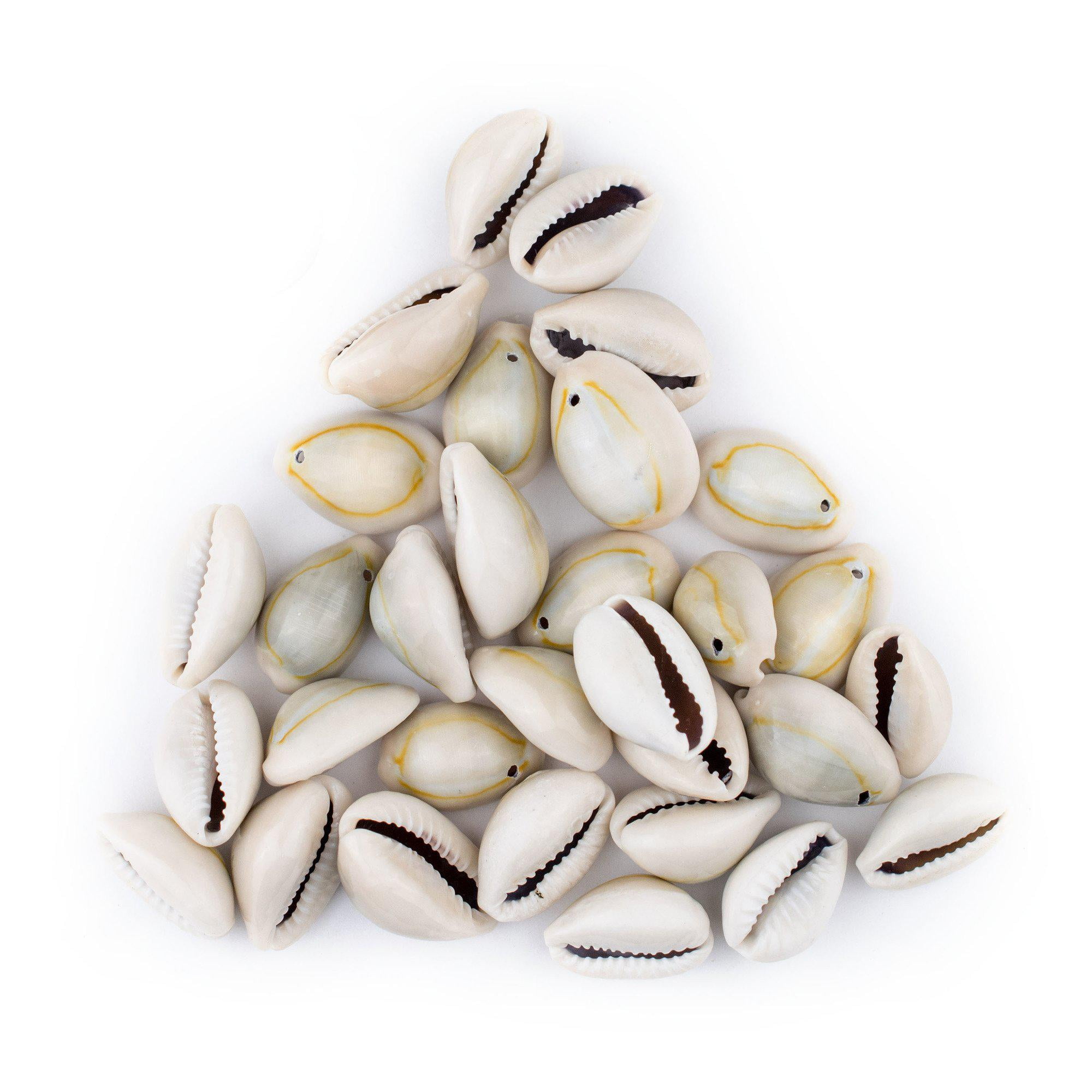 TheBeadChest Drilled Cowrie Shells (Large) - Walmart.com
