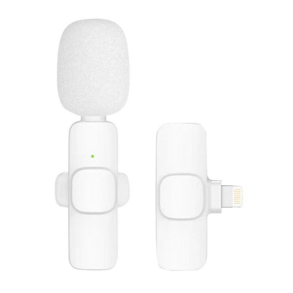 TheLSBeauty 2024 NEW Wireless Lavalier Microphone for iPhone iPad ...