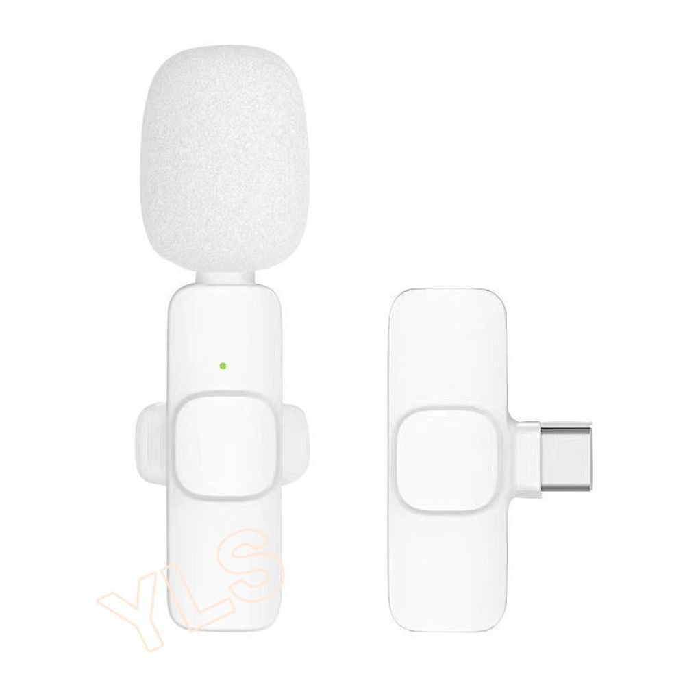 TheLSBeauty 2024 NEW Wireless Lavalier Microphone for iPhone iPad ...