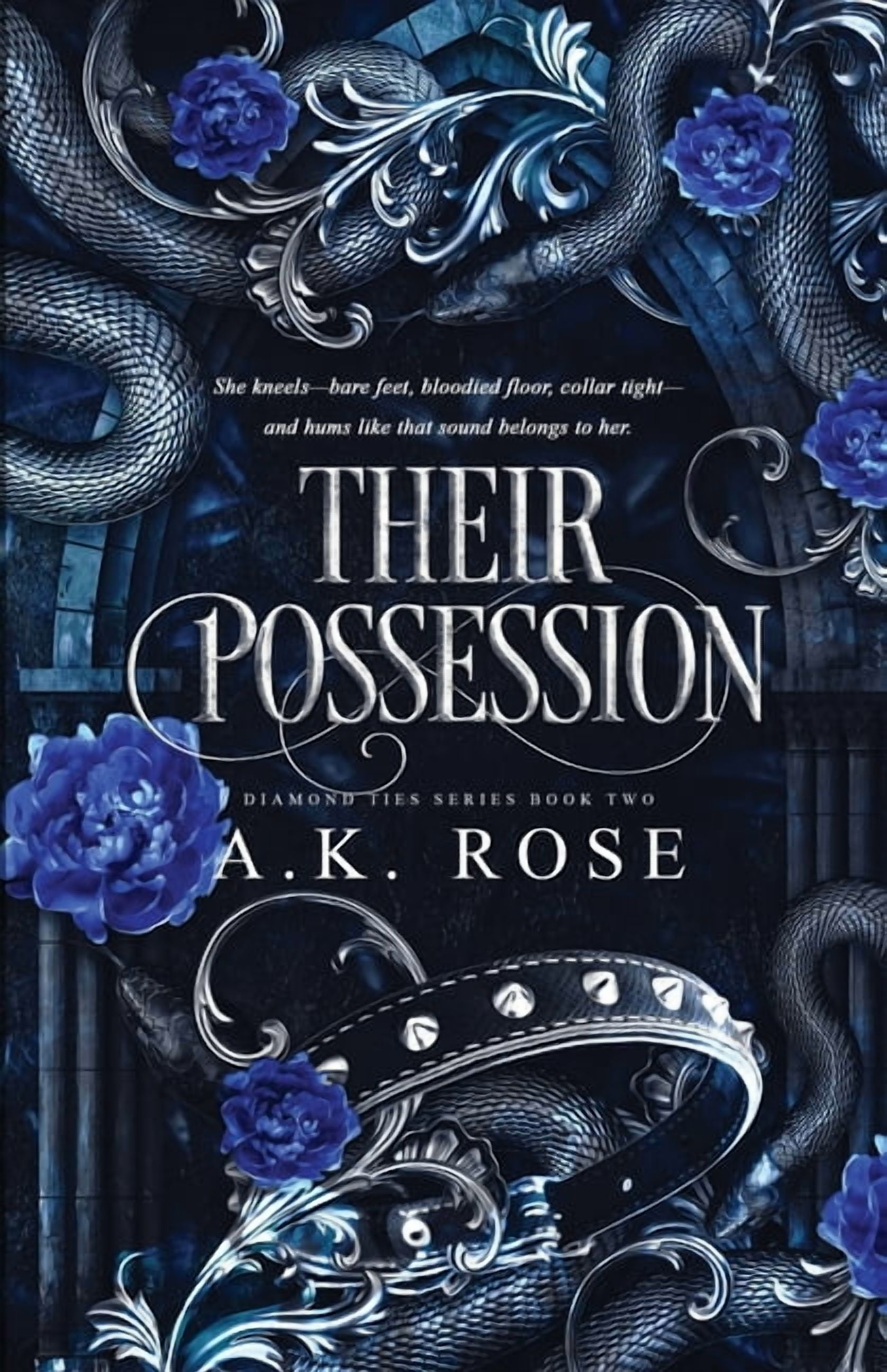 Their Possession, (Paperback) - Walmart.com