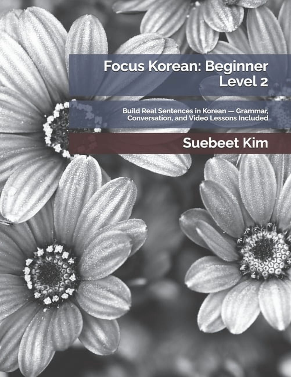 Thekoreantutor.com Focus Korean: Textboo Focus Korean: Beginner Level 2 ...