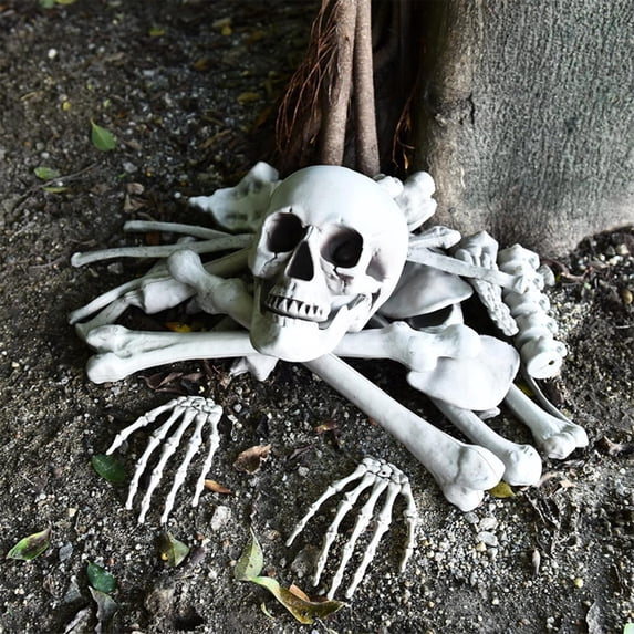 Theme Party Props, Party Decorations, Human Skeletal Anatomy ...