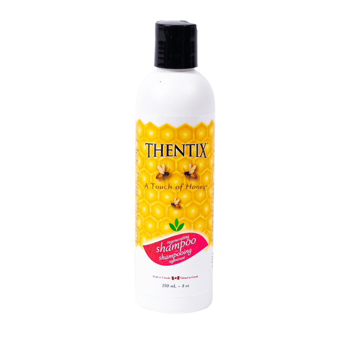 Thentix Regenerating Shampoo for all hair types | 250 ml / 8 oz ...
