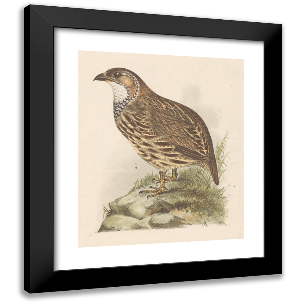 Theo van Hoytema 12x14 Black Modern Framed Museum Art Print Titled ...