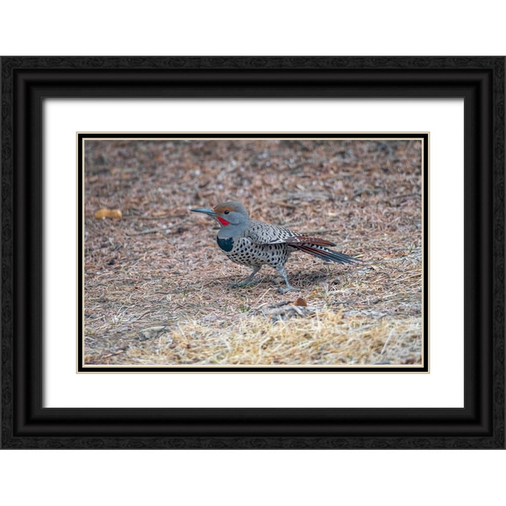 Theodore, George and Marilu 14x11 Black Ornate Wood Framed with Double ...