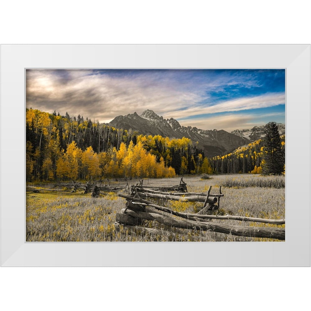 Theodore, George and Marilu 18x13 White Modern Wood Framed Museum Art ...