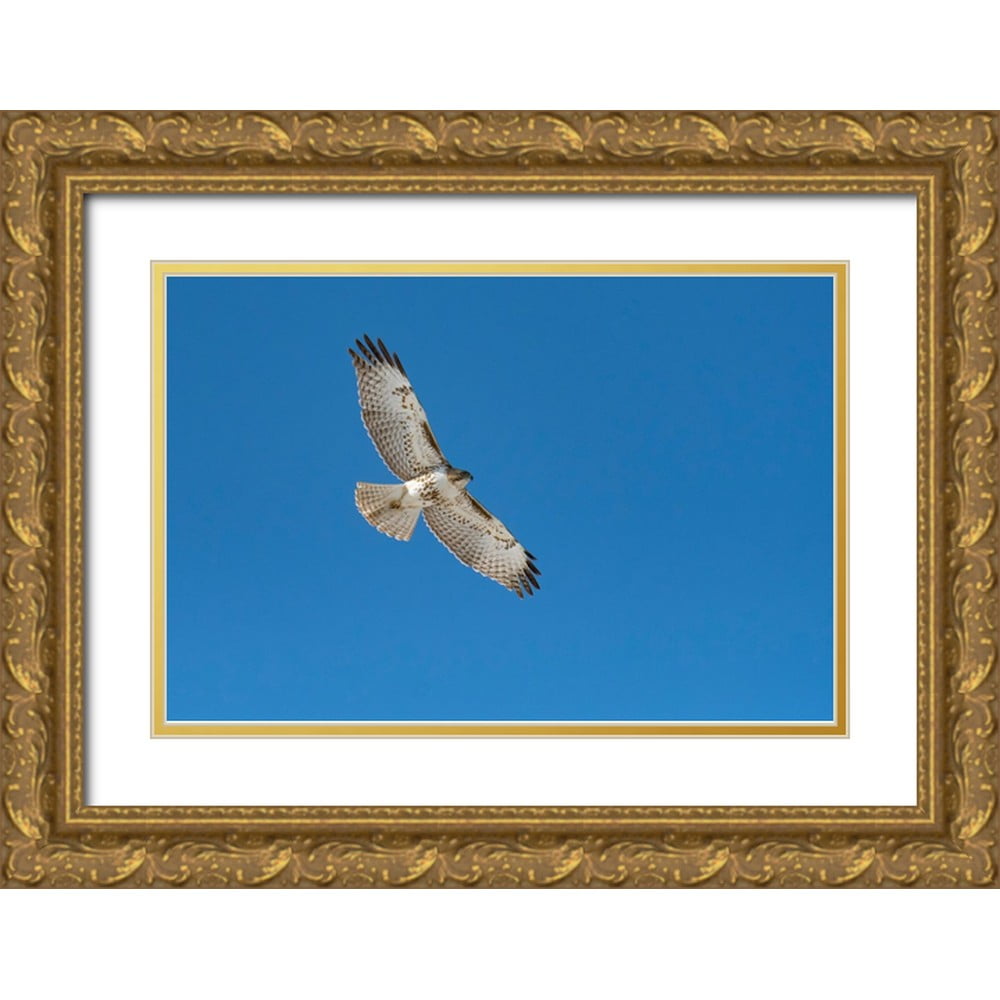 Theodore, George and Marilu 24x17 Gold Ornate Wood Framed with Double ...