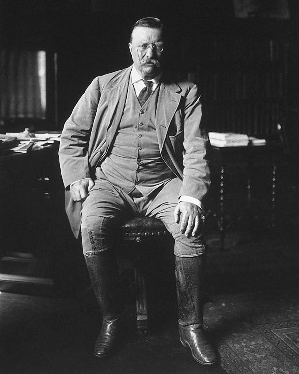 Theodore Teddy Roosevelt Library Portrait - 24x36 Inch Glossy Laminated ...