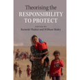 Theorising the Responsibility to Protect (Hardcover) - Walmart.com
