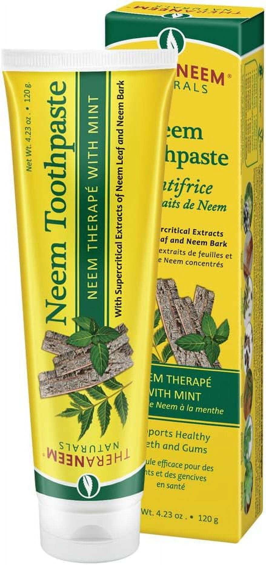 TheraNeem Neem Therape Toothpaste, Mint, No Fluoride and Vegan, 4.23 oz ...