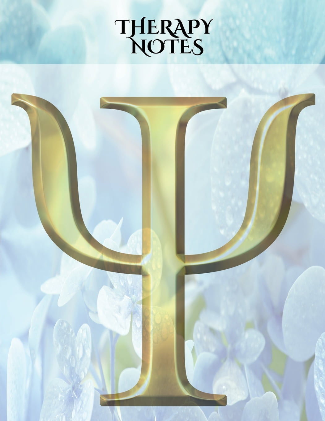 Therapy Notes: Therapy Notes: A Therapy Notebook with Sections To ...