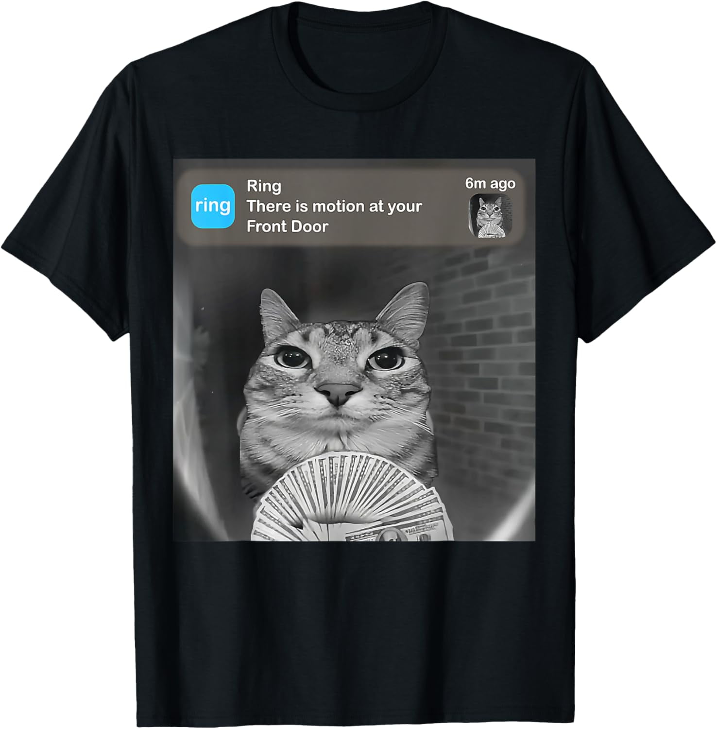There Is Motion At Your Front Door Funny Silly Cat Meme T-Shirt ...