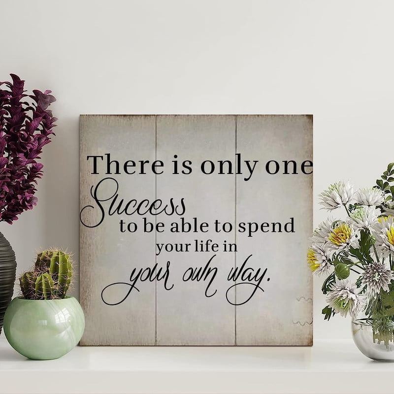 There Is Only One Success Wood Signs Vintage Funny Wood Plaque ...