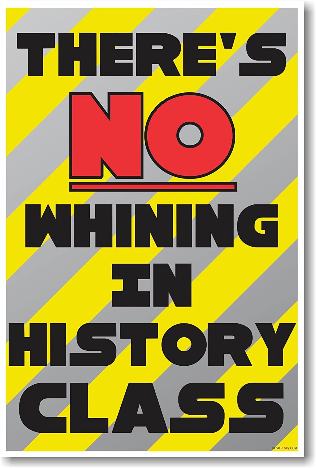 There's No Whining in History Class - NEW Funny Classroom Poster ...