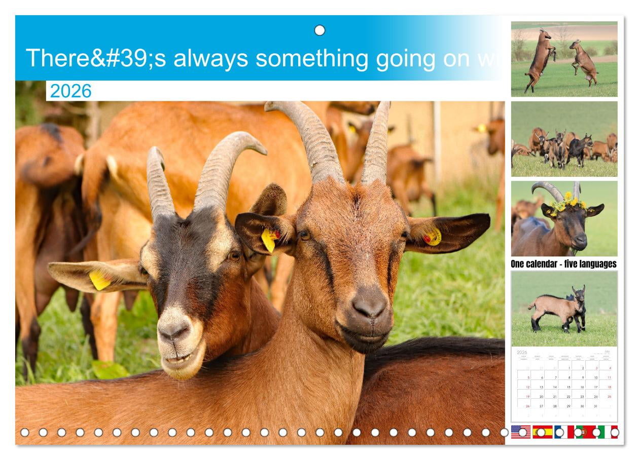 There's always something going on with goats! (Monthly Wall Calendar ...