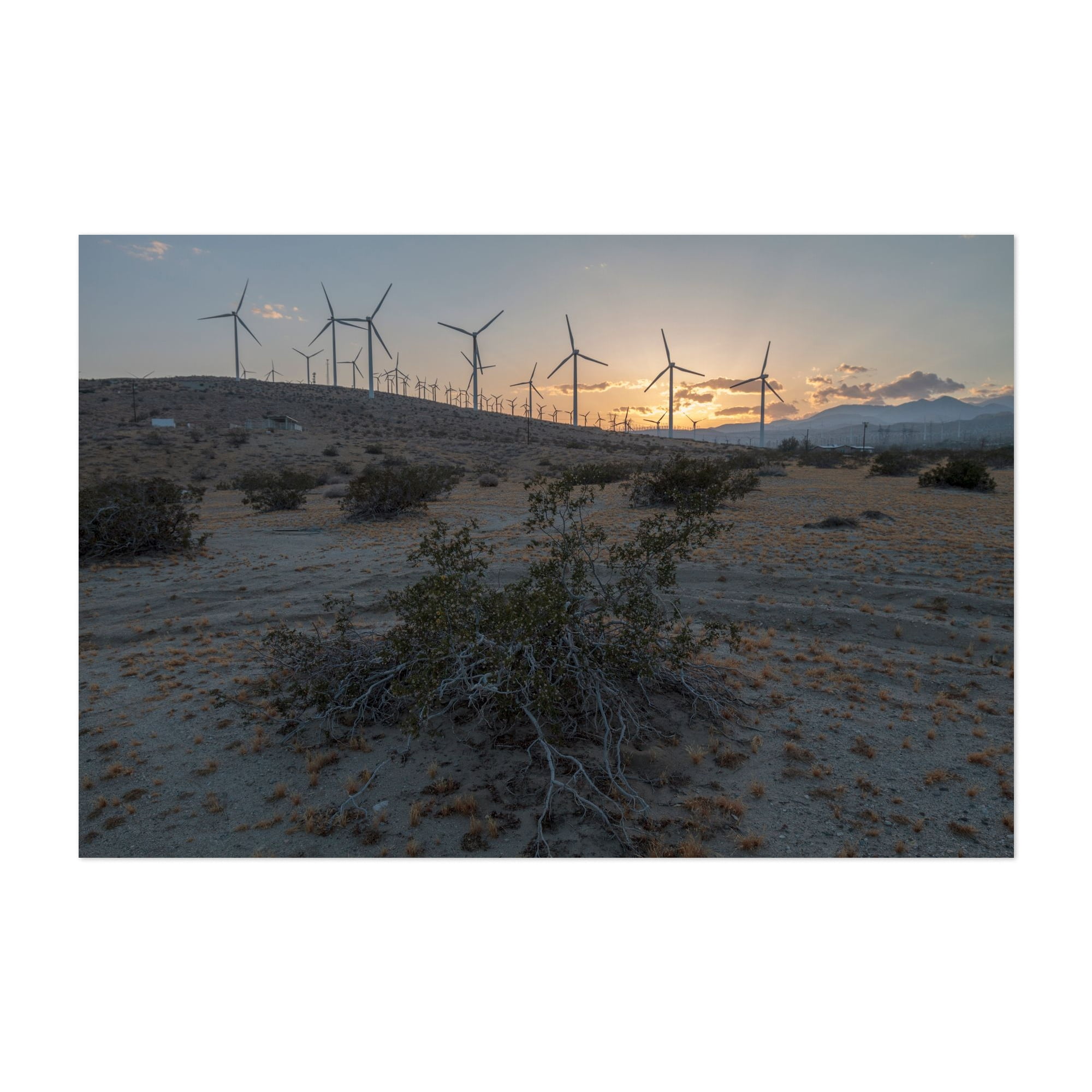 Theres Hope In Dem Hills - Palm Springs California Photography Desert ...