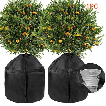 Sunrise Warm Worth Plant Cover and Plant Protecting Bag For Frost ...