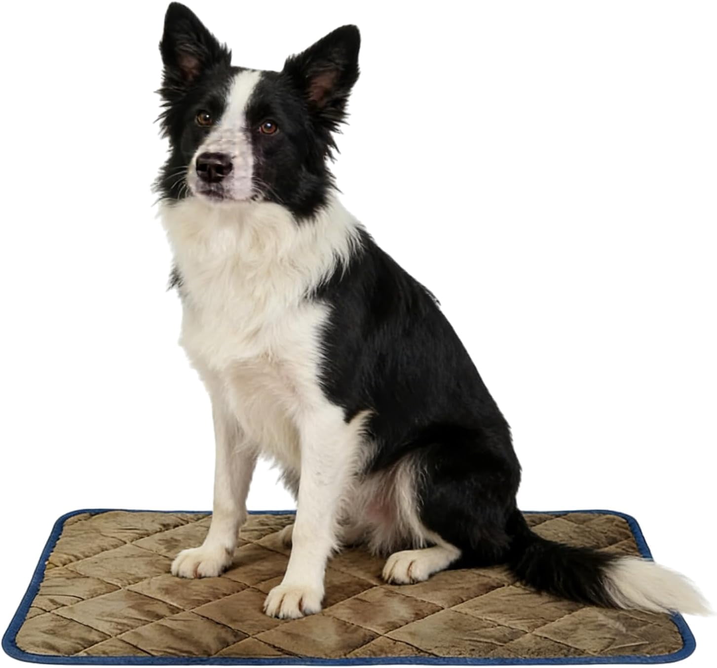 Thermal Reflection Pad for Dogs - 2026 New Self Heating Dog Bed, Soft ...