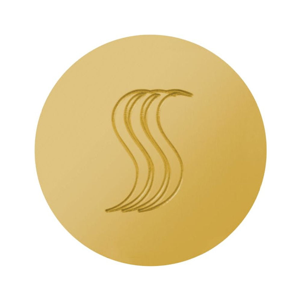 Thermasol Svrd Steamvection Round Brass Steam Head - Gold - Walmart.com