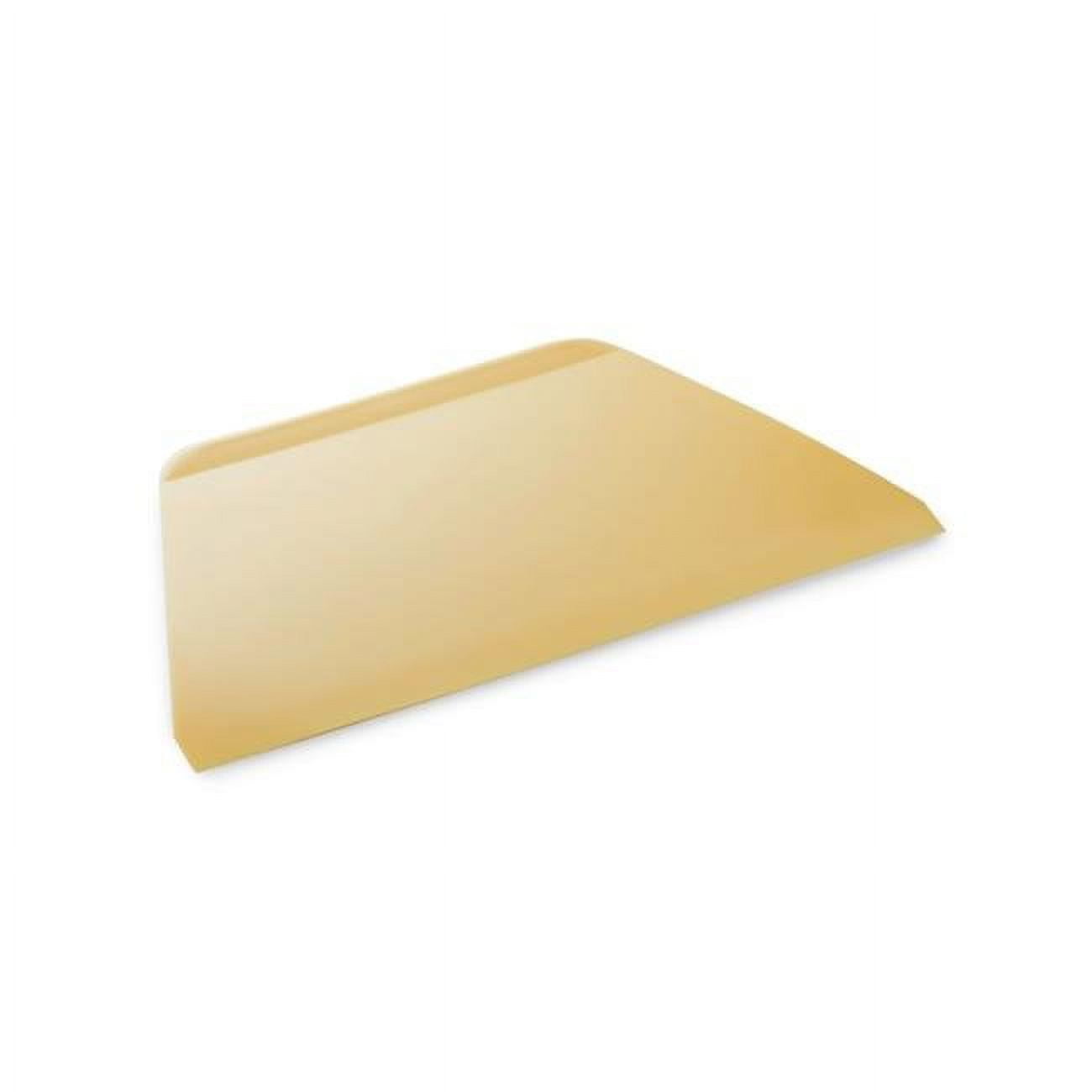 Thermohauser Double Sided Polypropylene Plain Scraper, Ivory - Set of ...