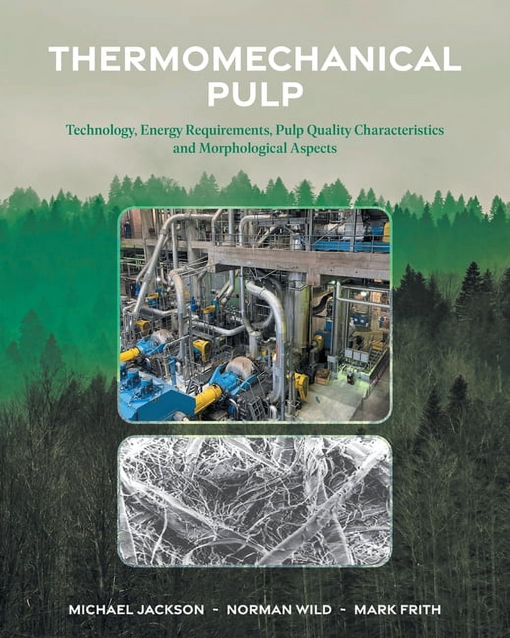 Thermomechanical Pulp: Technology, Energy Requirements, Pulp Quality ...